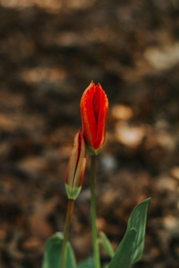 Showing Up With Intention - Finding Center Counseling | Bellingham, WA